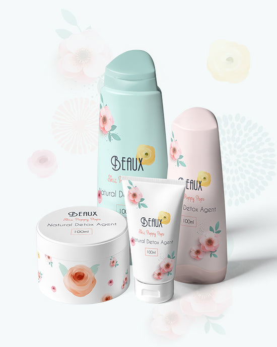 Beaux – Beaux-theme (password:1)